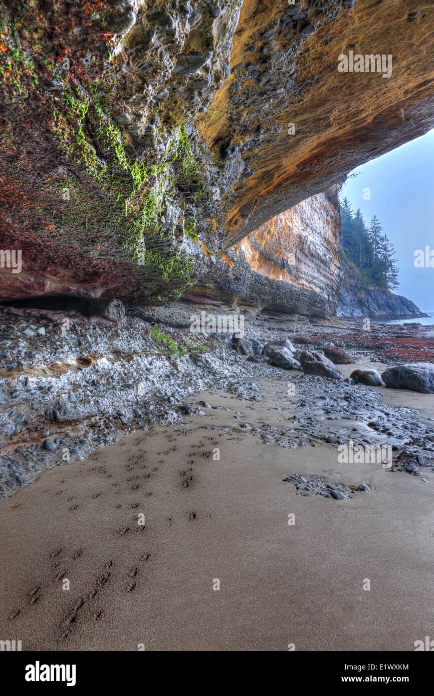 Mystic Beach, Vancouver Island, BC, limestone cliffs, Juan de Fuca ...