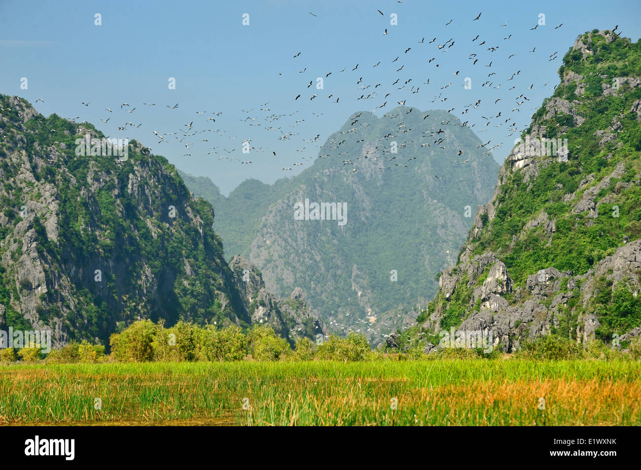 Vietnam van long nature reserve hi-res stock photography and images - Alamy