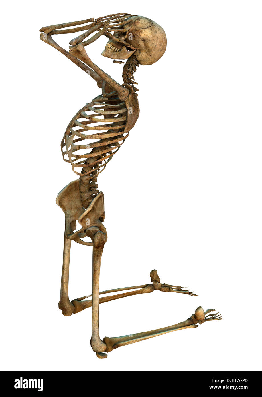 3D digital render of an old human skeleton isolated on white background ...