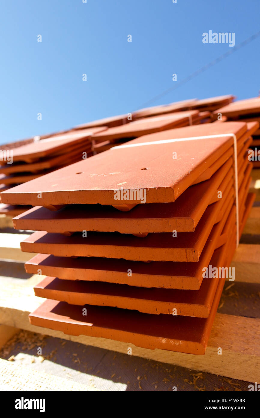 Beaver tail tiles hi-res stock photography and images - Alamy