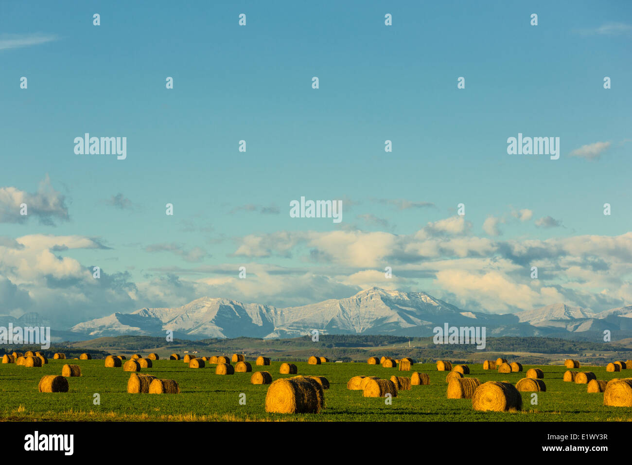 Black hay bales hi-res stock photography and images - Alamy