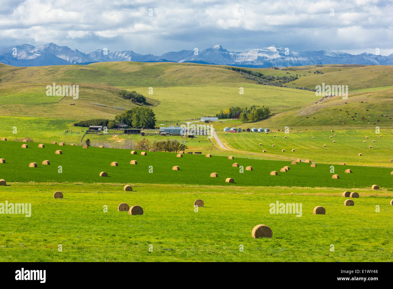 Ranch, foothills, Longview, Alberta, Canada Stock Photo - Alamy