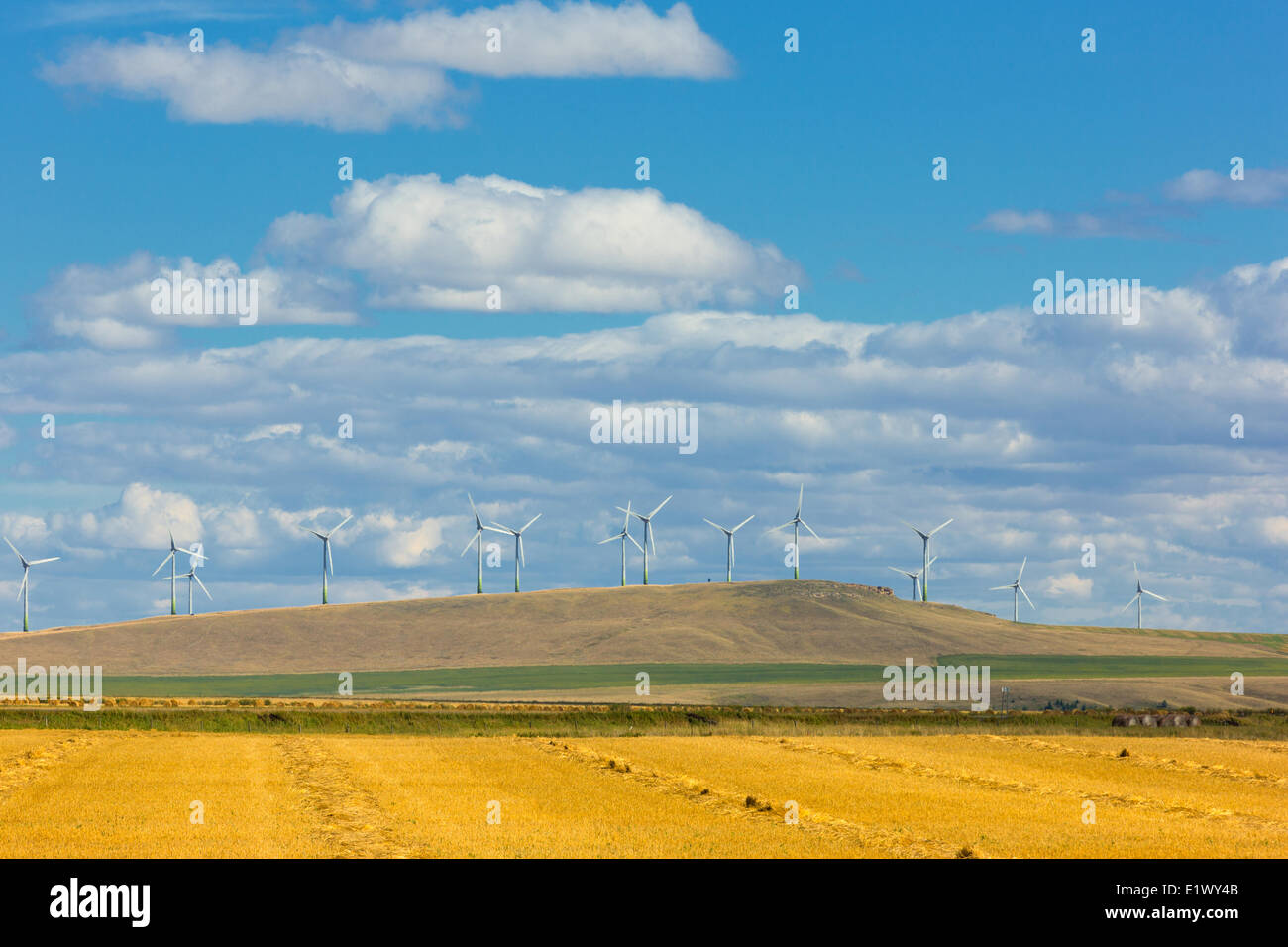 Wind turbines, foothills, Cowley Ridge, Alberta, Canada Stock Photo - Alamy