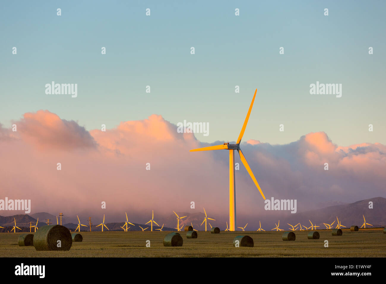 Baled hay and wind turbines at sunrise hi-res stock photography and ...