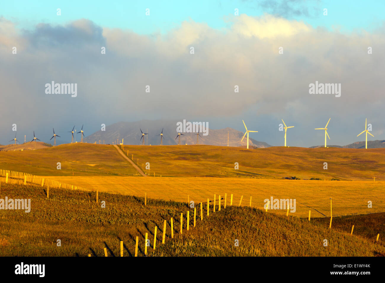 Wind turbines and grainfield at sunrise, Pincher Creek, Alberta, Canada ...