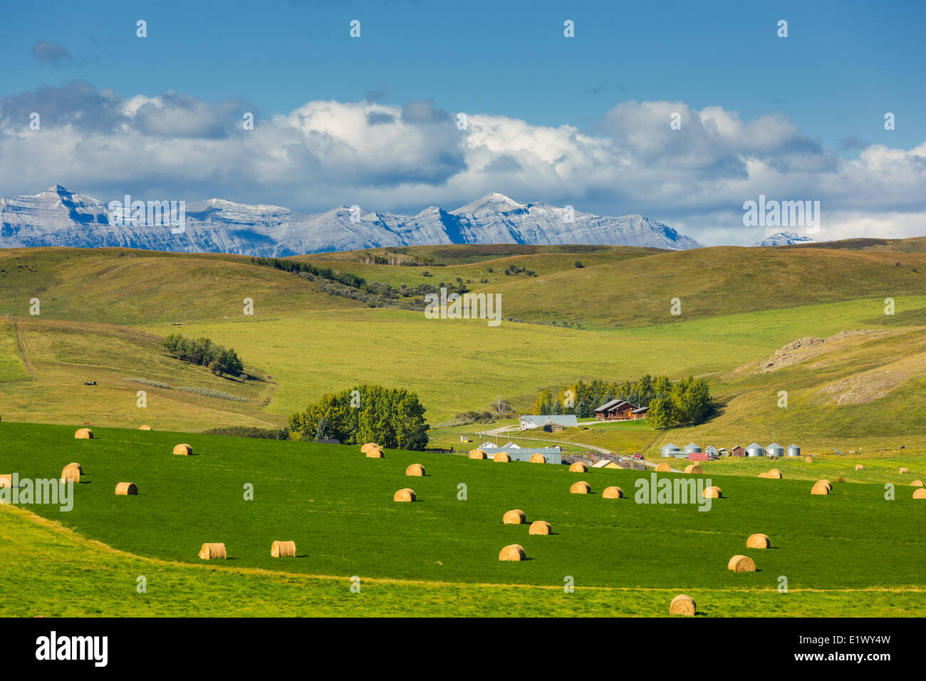 Longview farm hi-res stock photography and images - Alamy