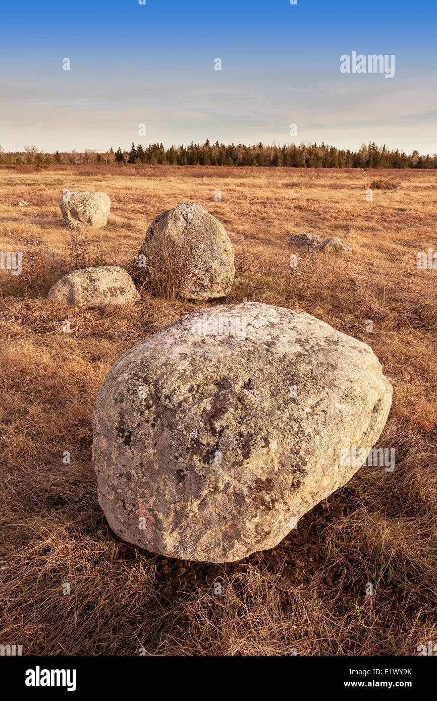 Erratic rocks hi-res stock photography and images - Alamy