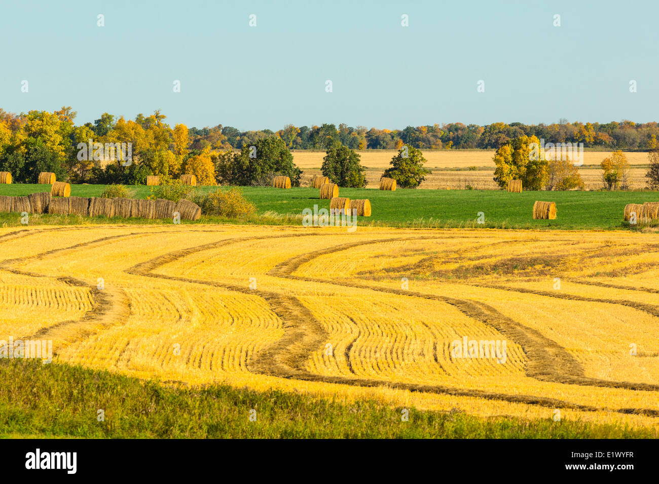 Wheatfield High Resolution Stock Photography and Images - Alamy