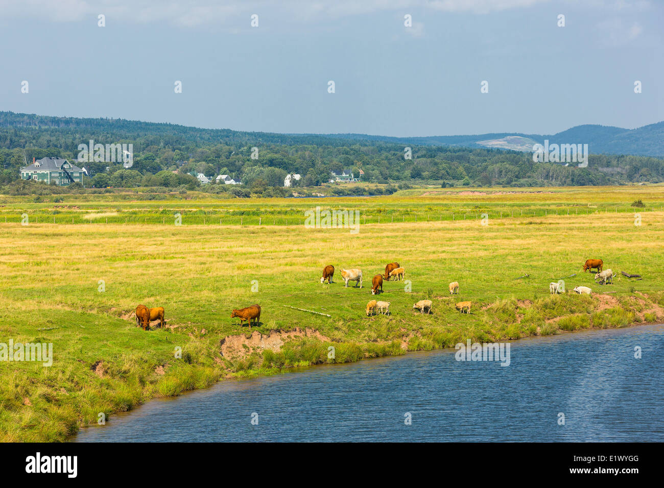 Albert barrett hi-res stock photography and images - Alamy