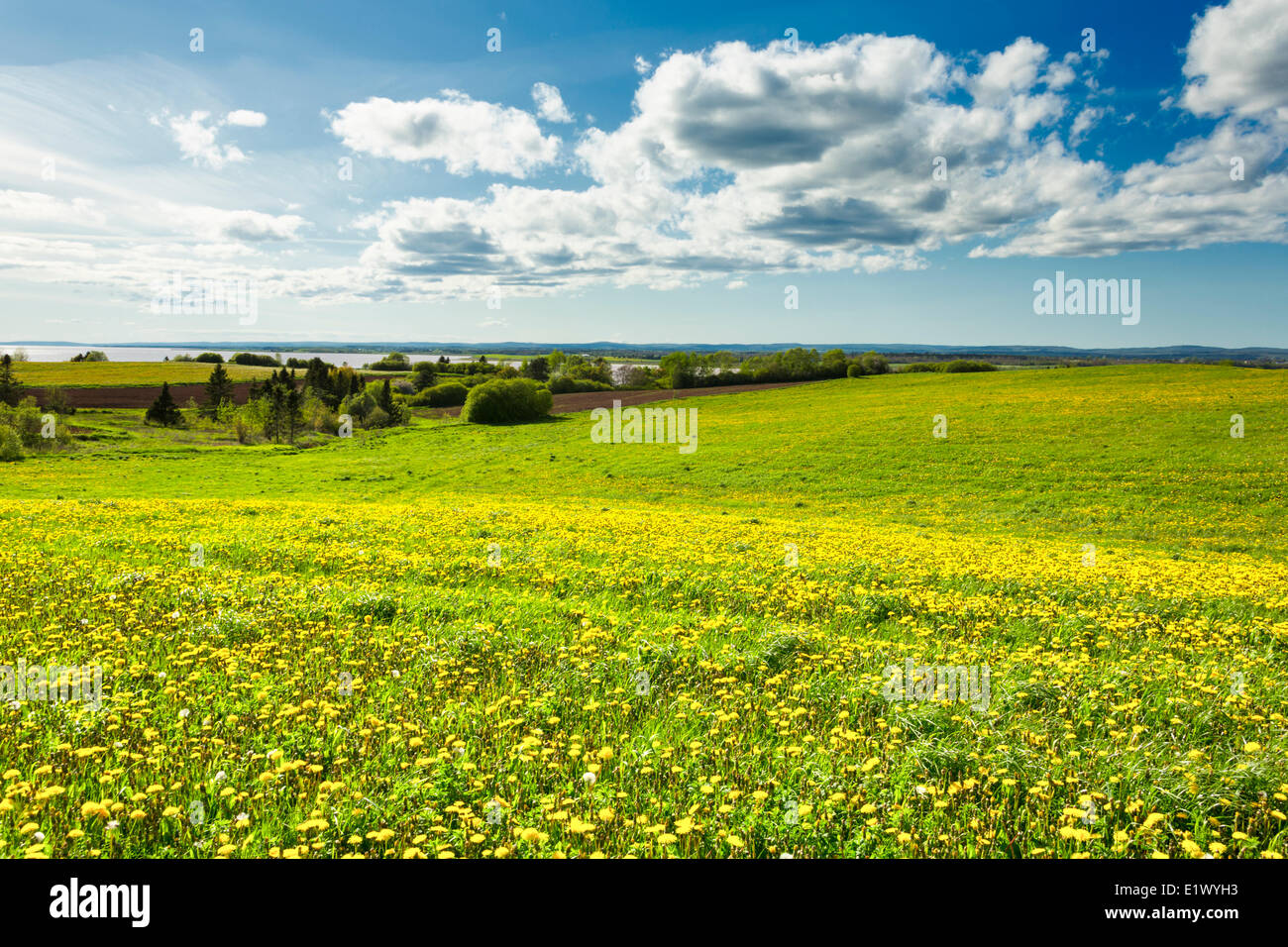 Farmhouse in spring, Old Barns, Nova Scotia, Canada Stock Photo - Alamy