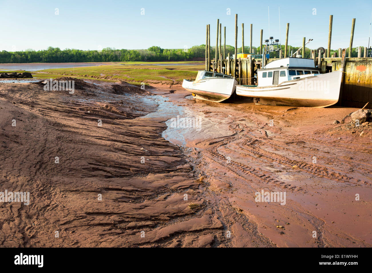 Bay Of Fundy Tides