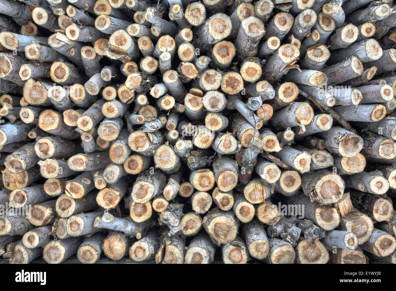 A bunch of Apple Wood Stock Photo - Alamy