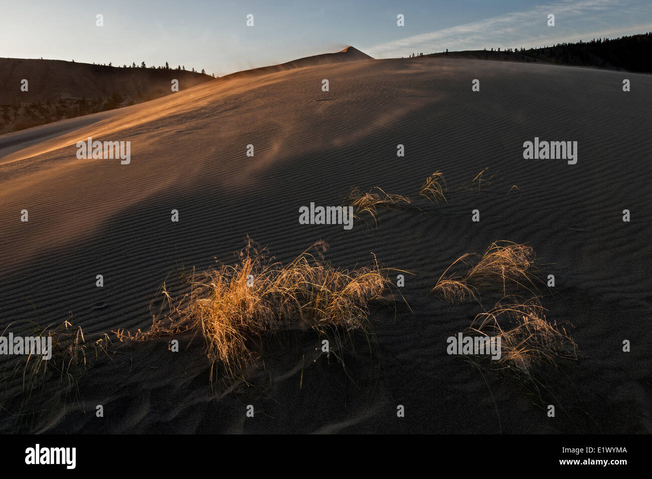 British Columbia, Canada, BC Grasslands, Farwell Canyon, sand dune ...