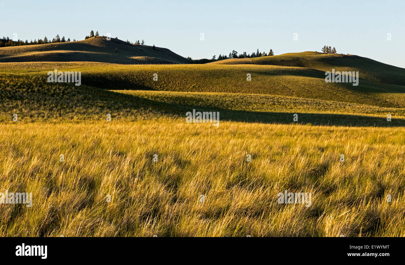 Bc grasslands hi-res stock photography and images - Alamy