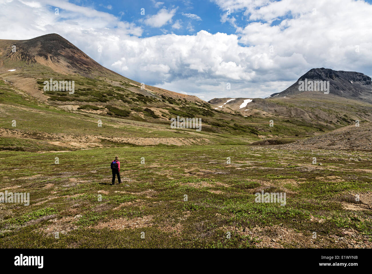 Canada, British Columbia, Chilcotin region, Itcha Ilgachuz Provincial ...