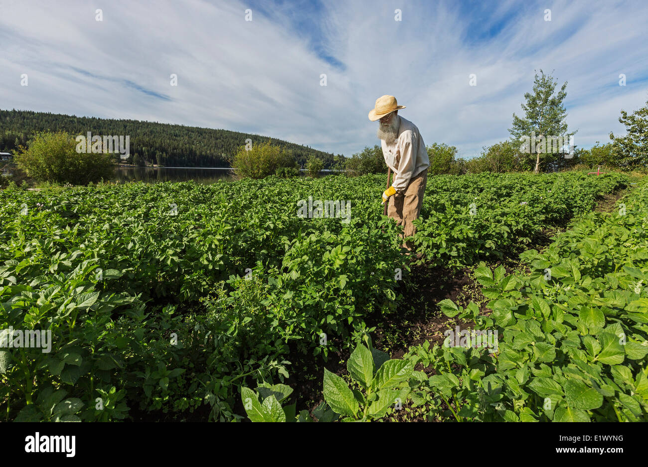 British farming community hi-res stock photography and images - Alamy