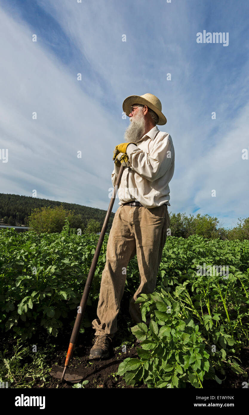 Farmer weeding hi-res stock photography and images - Alamy