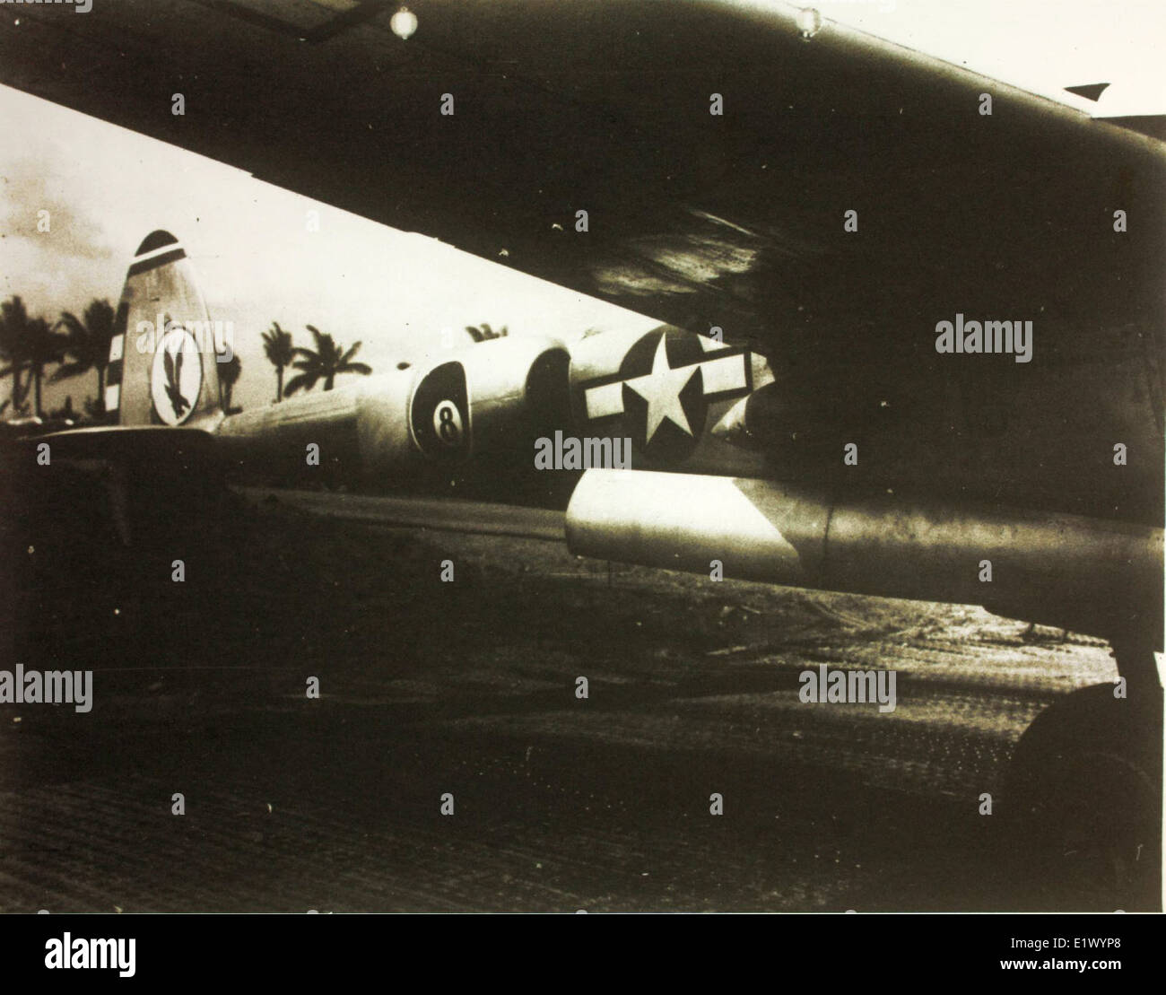 The 8th Photo Recon Squadron, part of the 15th Air Force during World ...