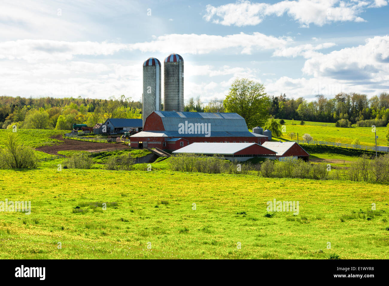 Brook farm hi-res stock photography and images - Alamy