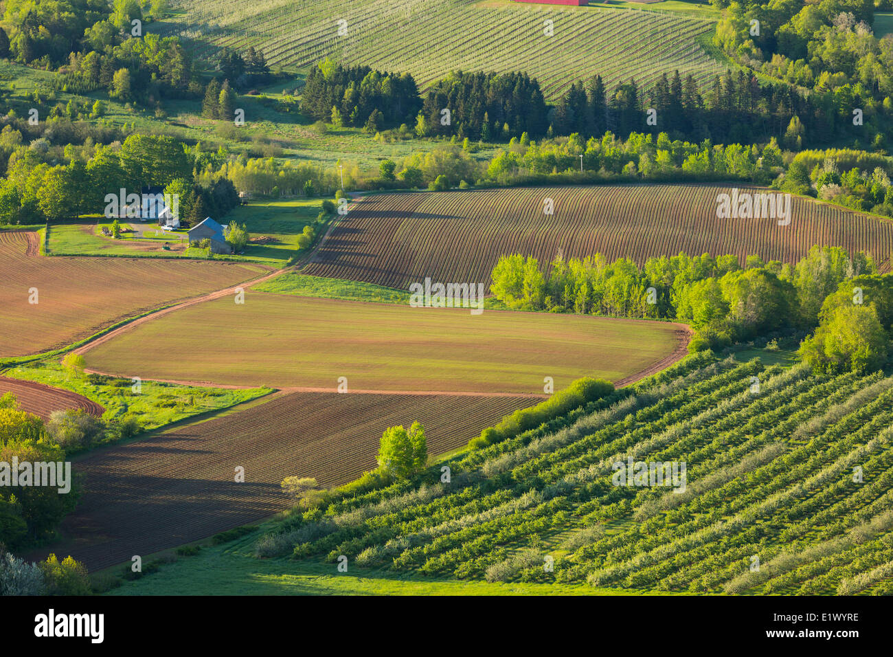 Nova scotia annapolis valley farm hi-res stock photography and images ...
