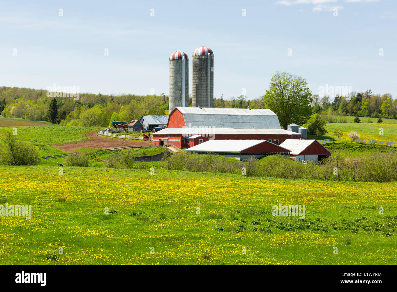 Farm and dandylion field hi-res stock photography and images - Alamy