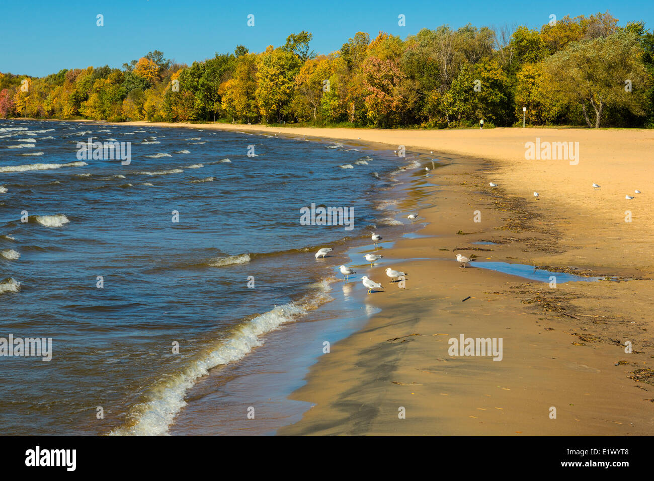 North bay canada hi-res stock photography and images - Alamy