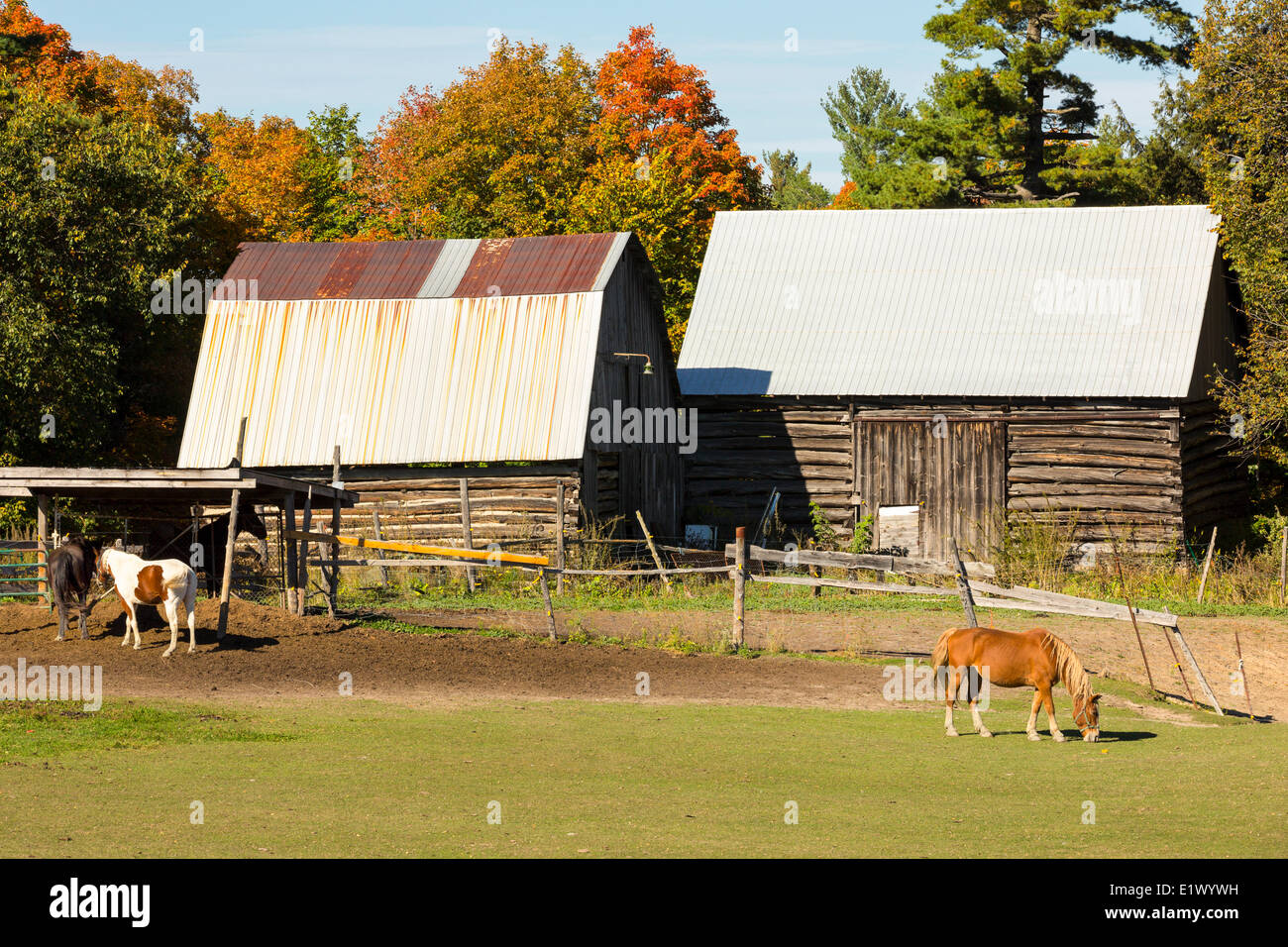 Renfrew county hi-res stock photography and images - Alamy