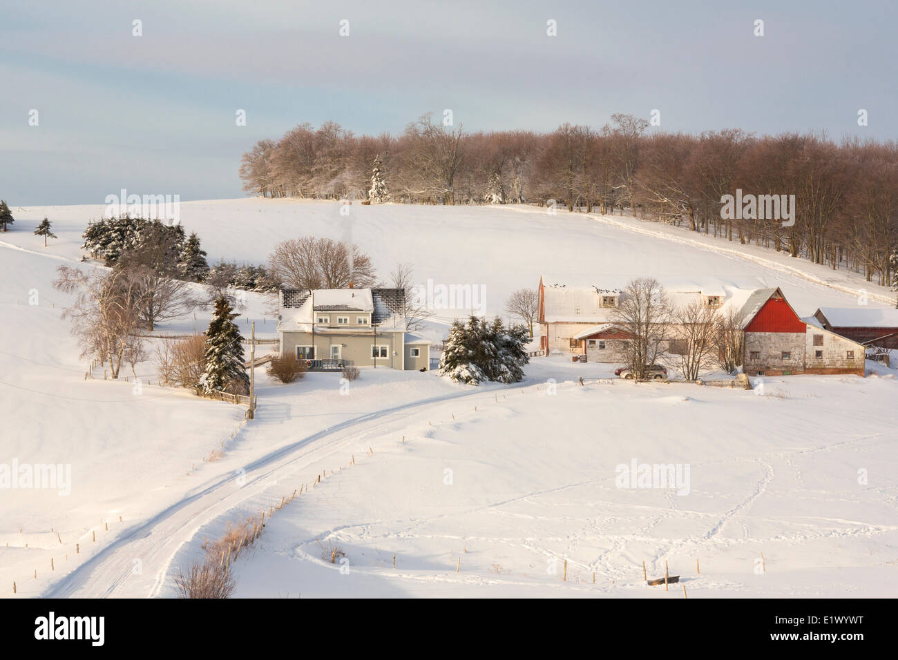 Farmhouse in winter, Bonshaw, Prince Edward Island, Canada Stock Photo ...