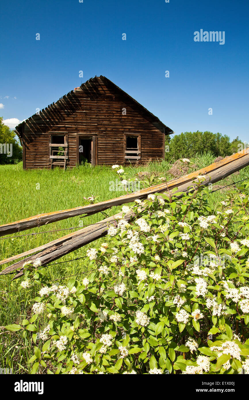 Rural alberta hi-res stock photography and images - Alamy