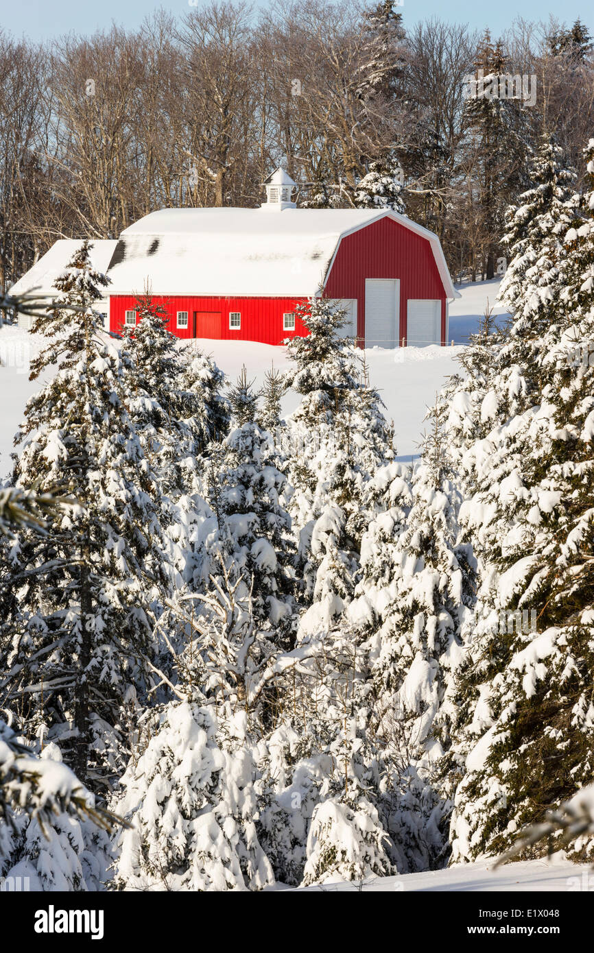 Springton farms hi-res stock photography and images - Alamy