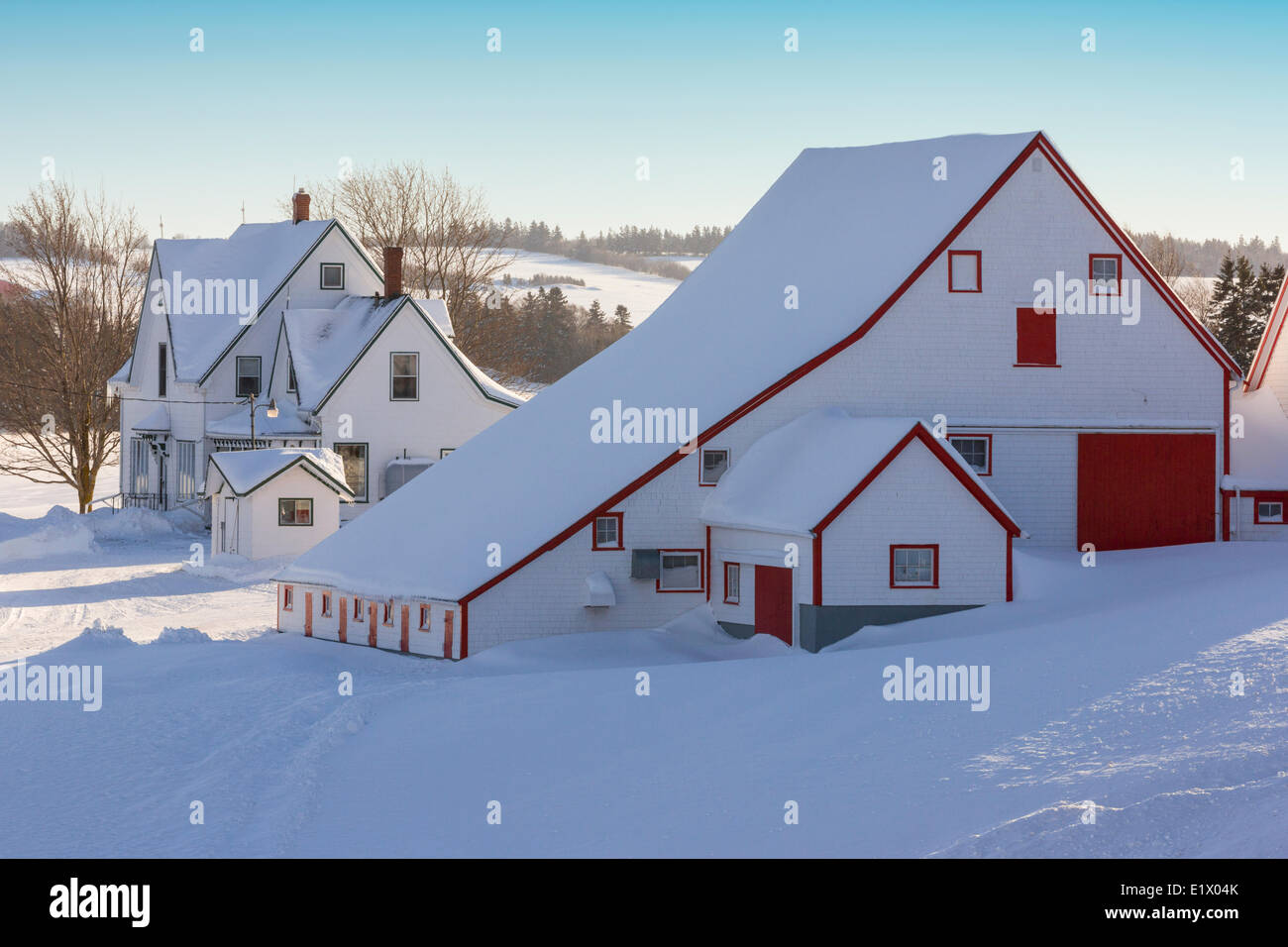 Farm, Rusticoville, Prince Edward Island, Canada Stock Photo - Alamy