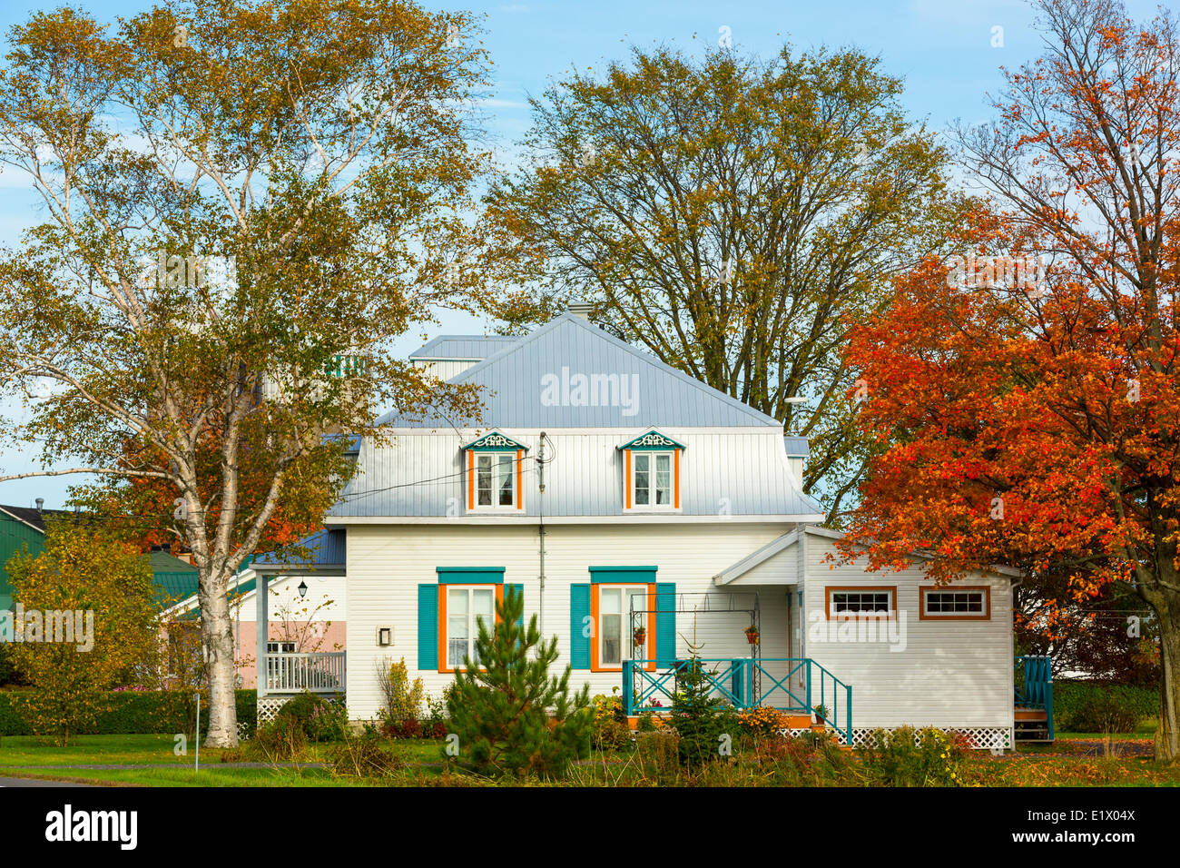 Old French Style Homes