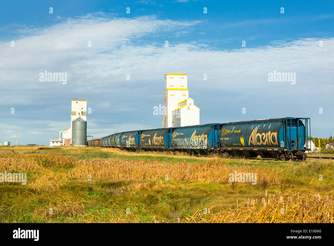 Grain elevators railcars tuxford saskatchewan hi-res stock photography ...