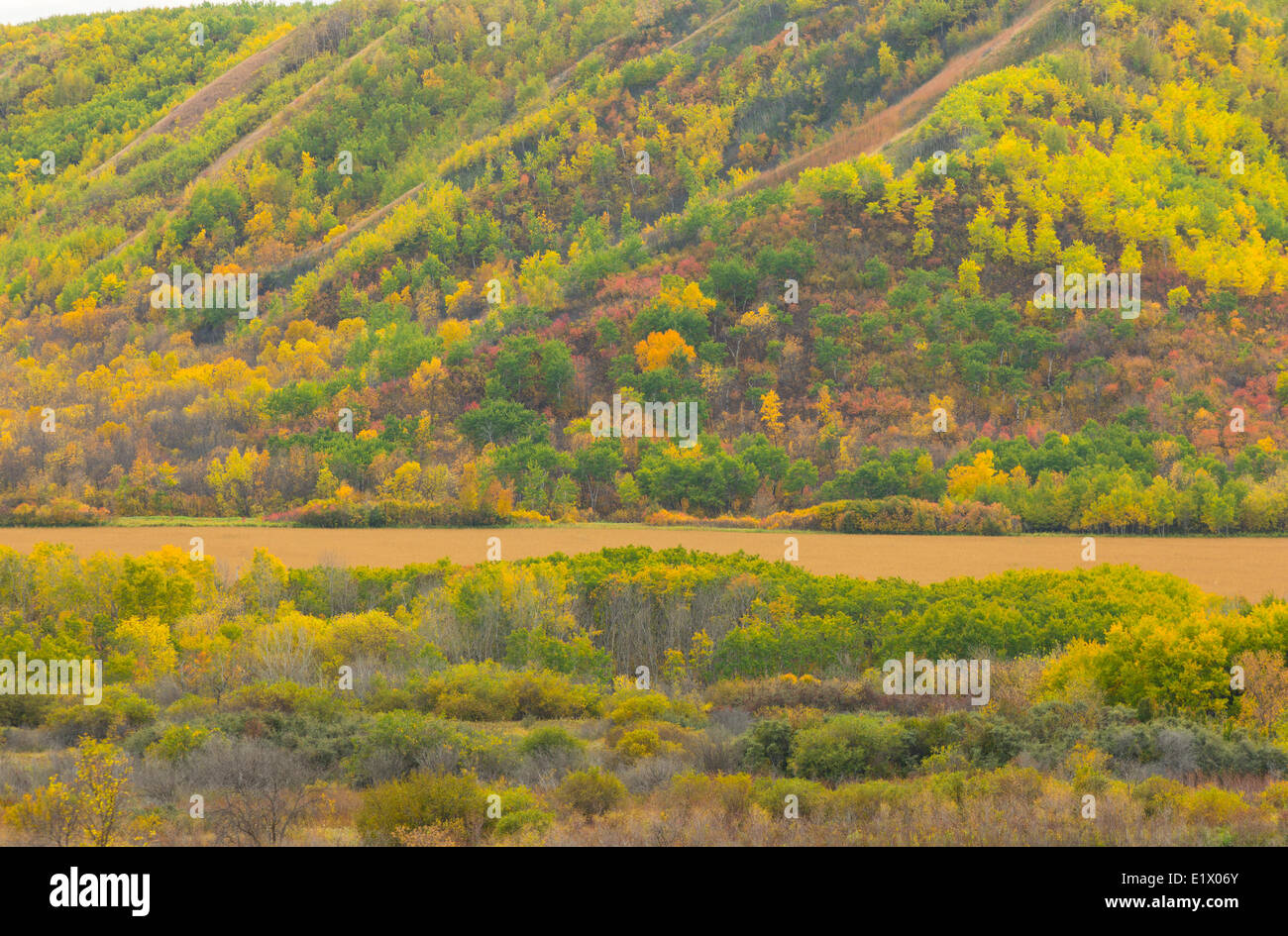 184 hi-res stock photography and images - Alamy