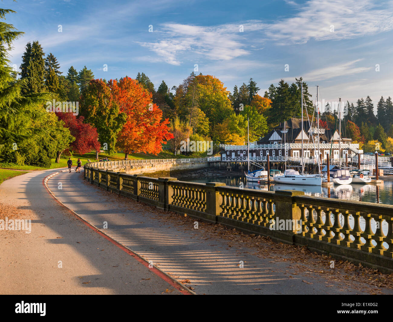 Stanley park tree canada hi-res stock photography and images - Alamy