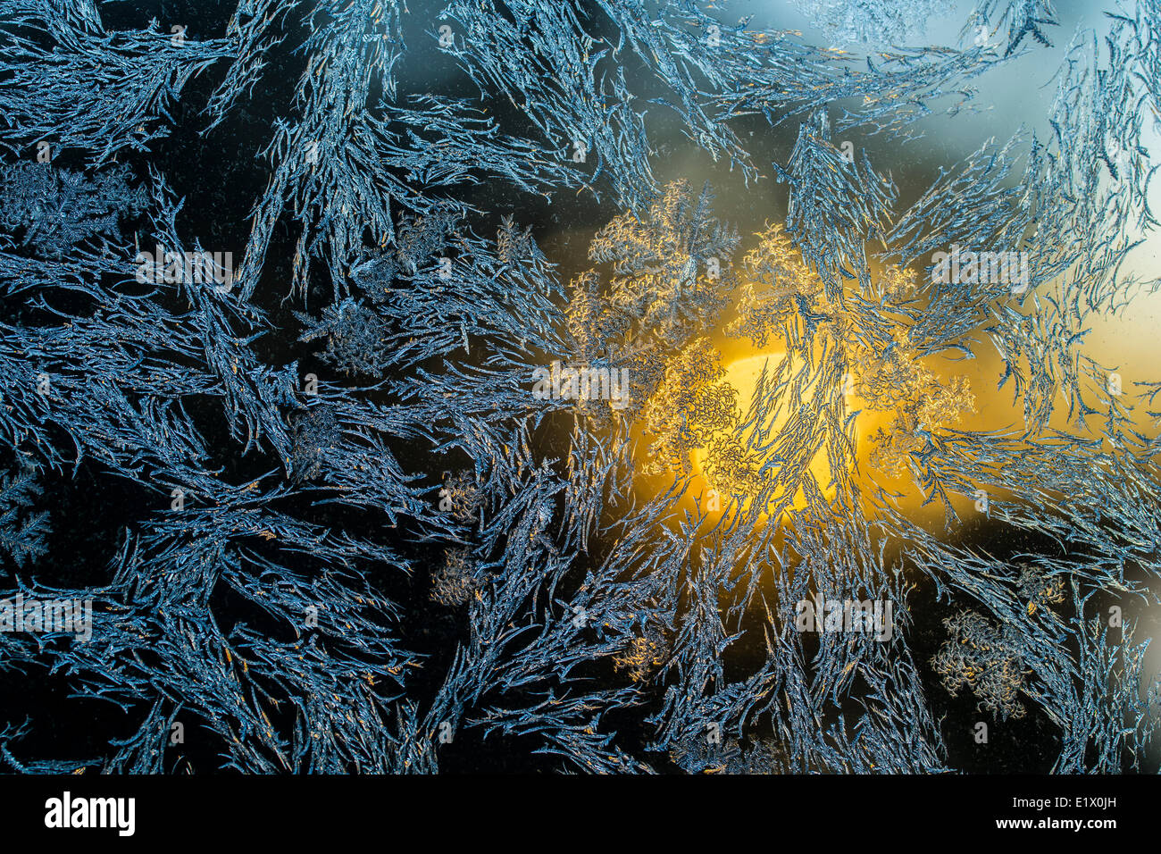 Sunset see through frosted window, Ontario, Canada Stock Photo - Alamy