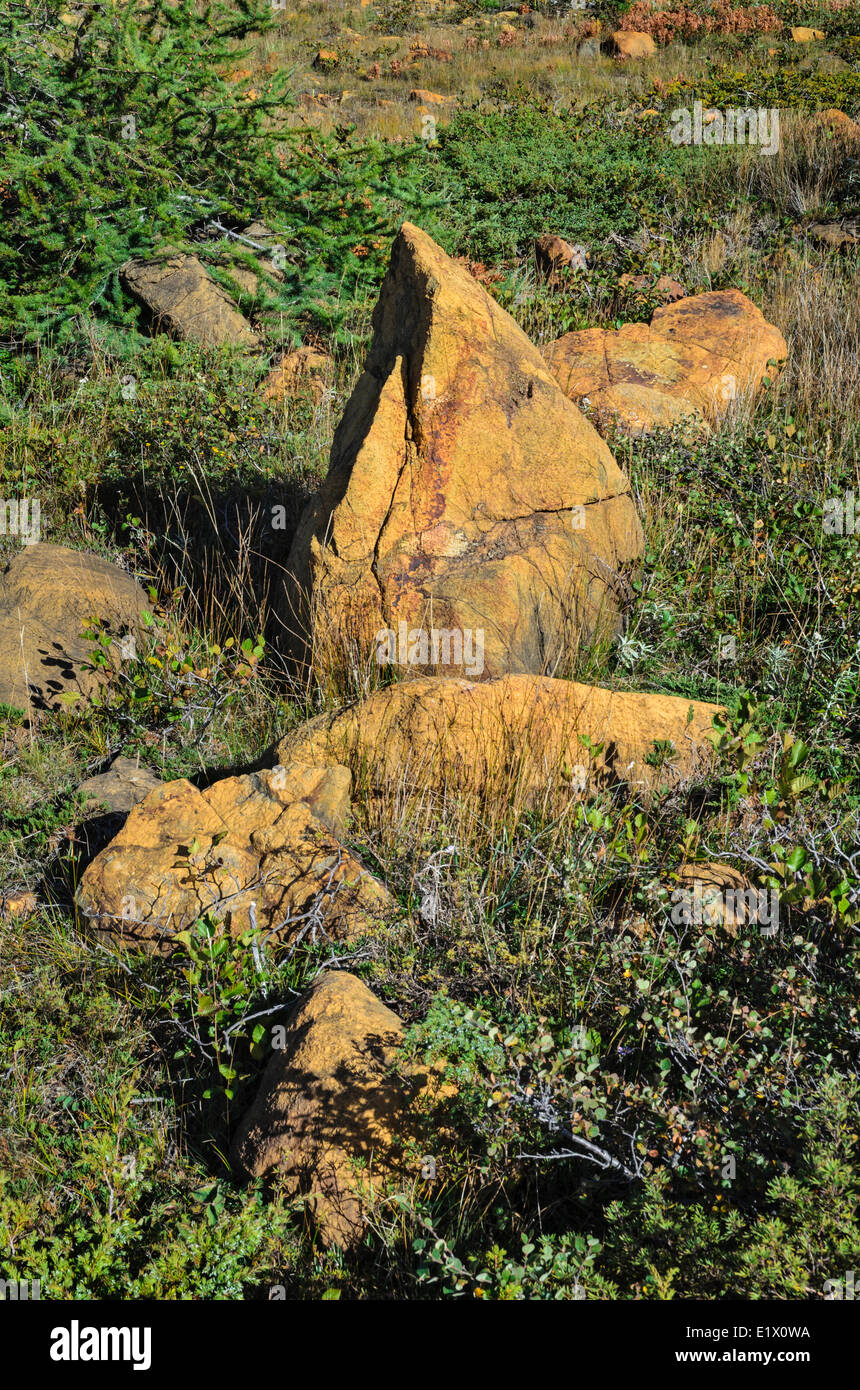 TABLELANDS Peridotite rock is rare at earth's surface reason for World ...