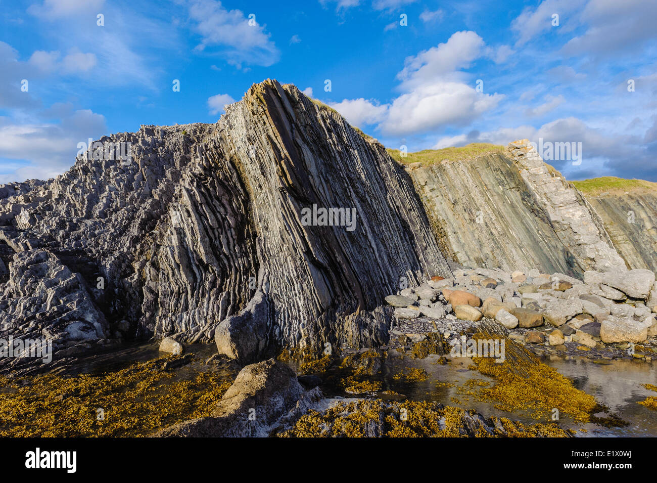 Ordovician limestone hi-res stock photography and images - Alamy