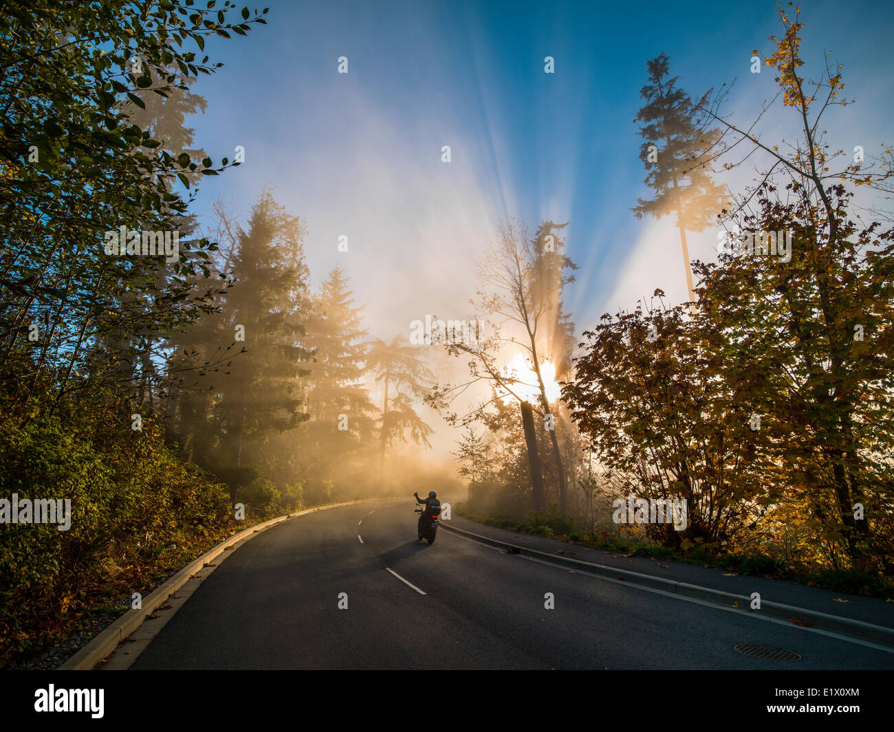 Motorcycle in fog stanley park drive hi-res stock photography and ...