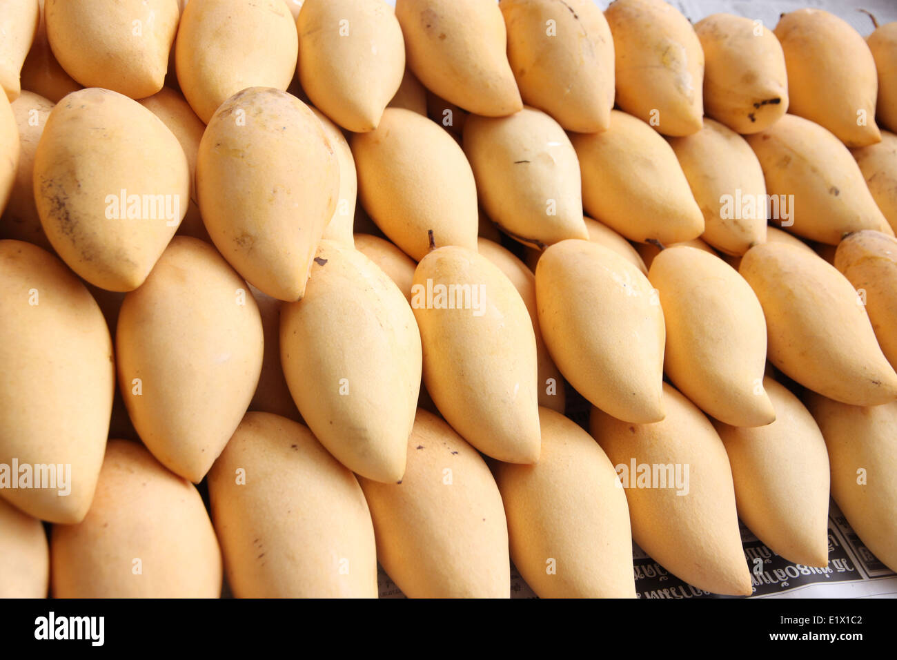 Ripe yellow mangoes in the fruit market for background Stock Photo - Alamy