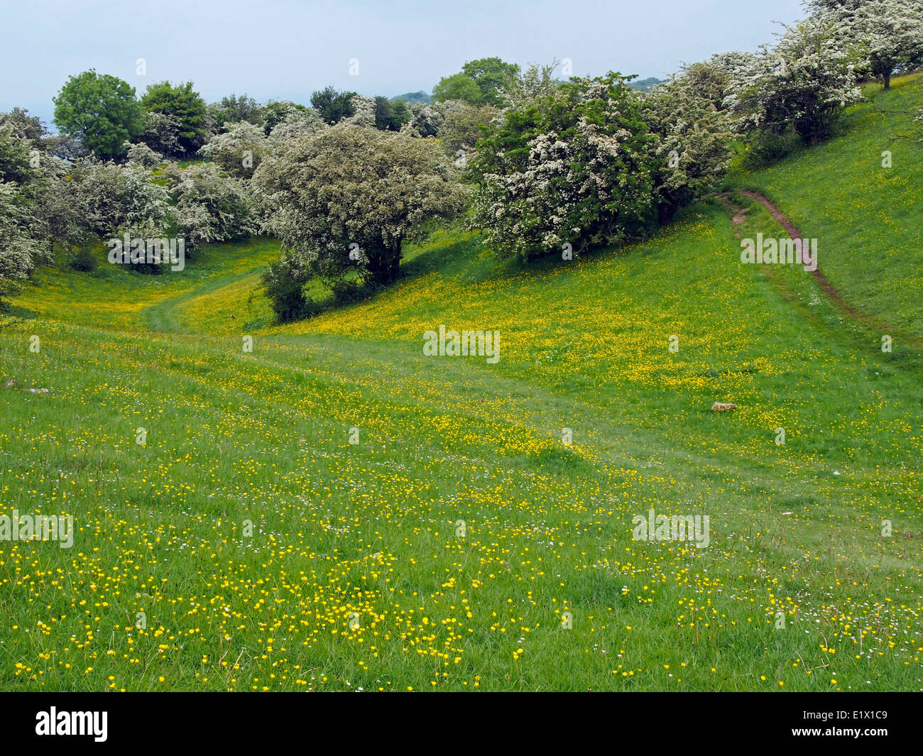 Cotswold dry valley formed in Cotswold limestone to east of and below ...