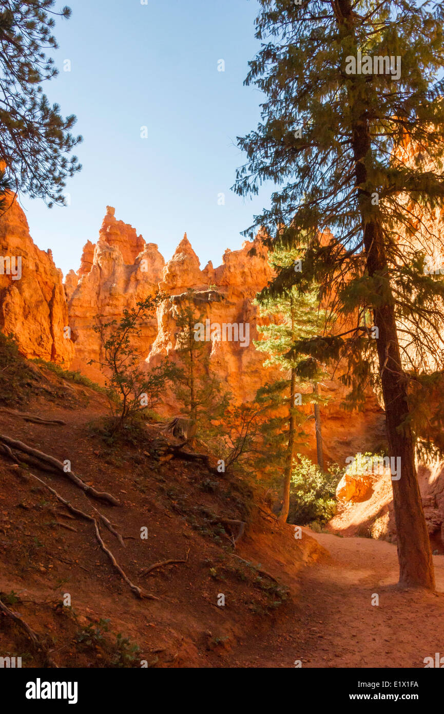 Navajo Trail begins at Sunset Point travels down into the main ...