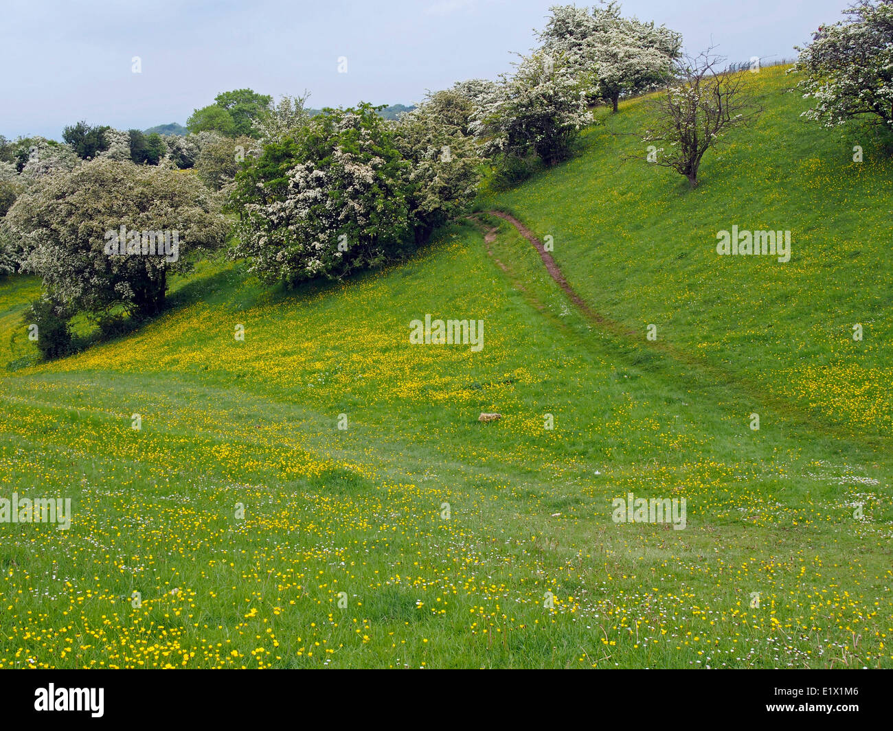 Cotswold dry valley formed in Cotswold limestone to east of and below ...