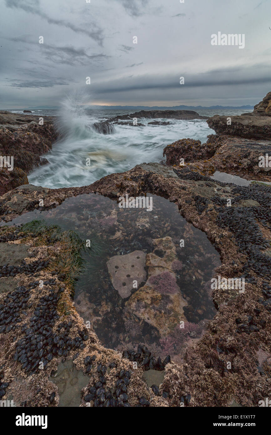 Washing rocks hi-res stock photography and images - Alamy