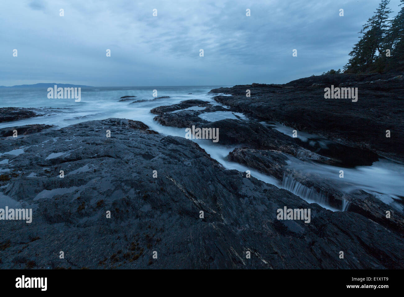 Botanical beach port renfrew hi-res stock photography and images - Alamy