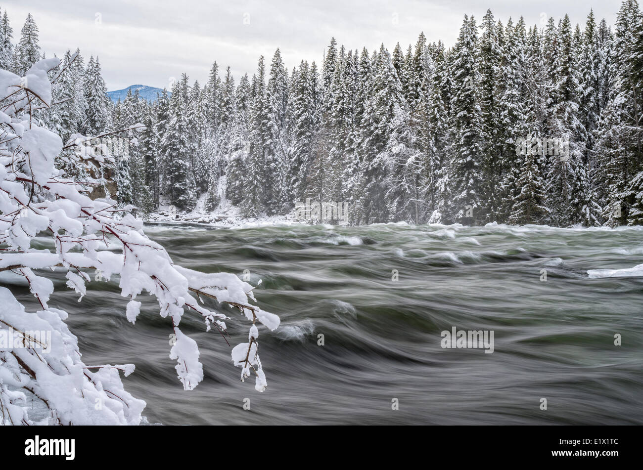 Murtle River in winter in Wells Gray Provincial Park, Clearwater ...