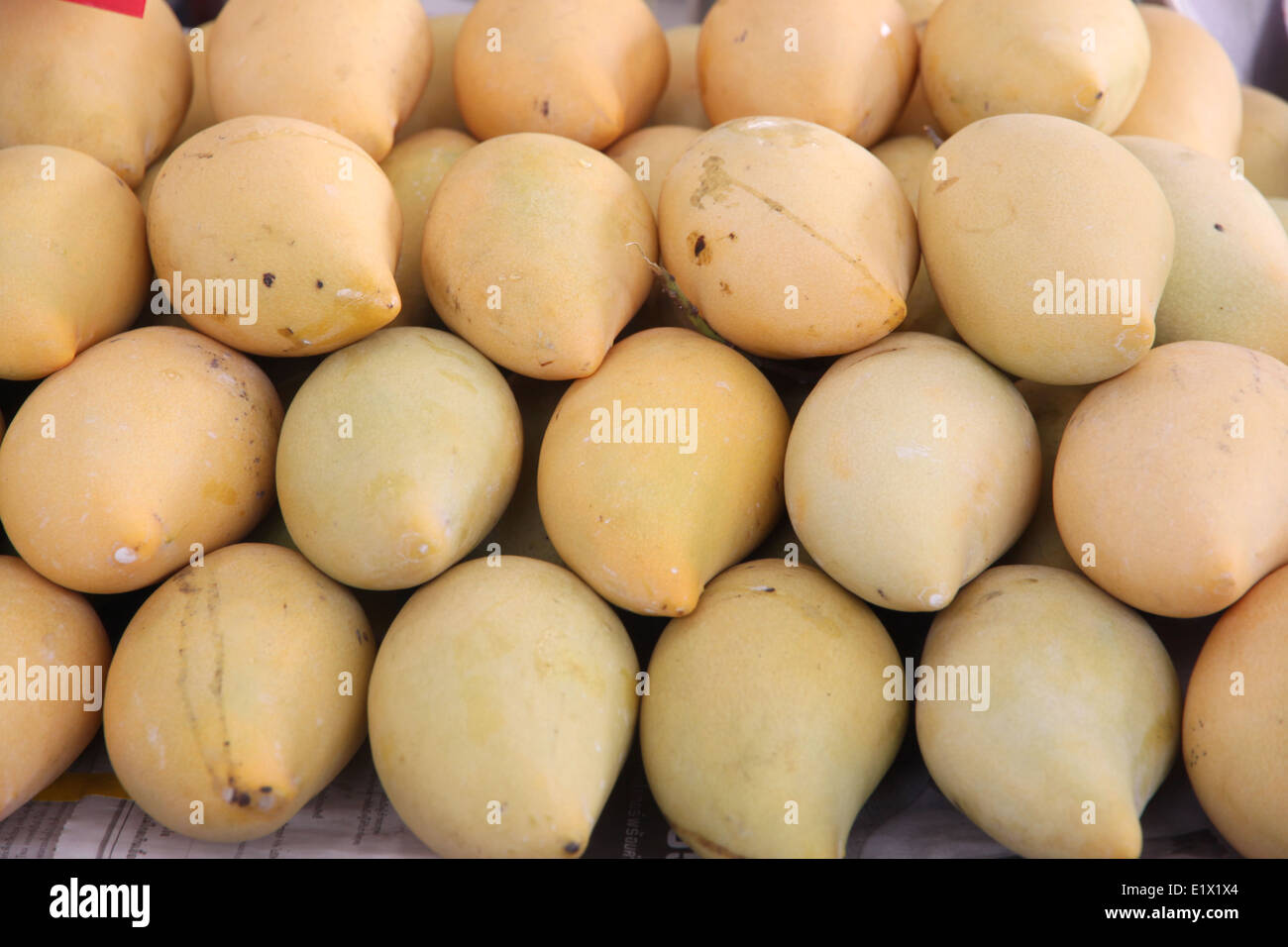 Ripe yellow mangoes in the fruit market for background Stock Photo - Alamy
