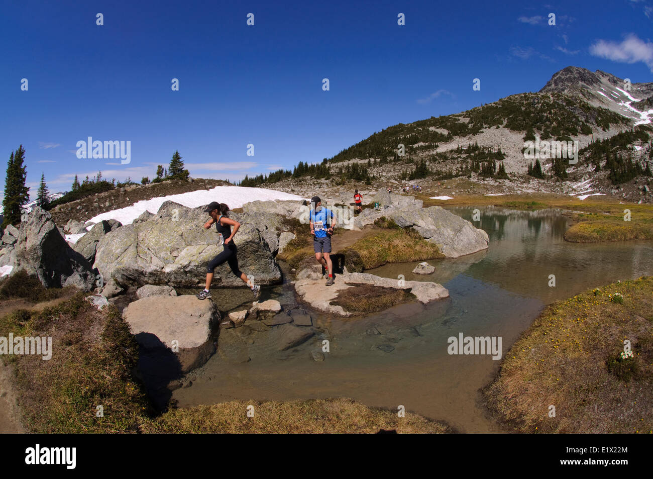 5 Peaks 2011 trail running race series. Ziggy's Meadow, Blackcomb ...