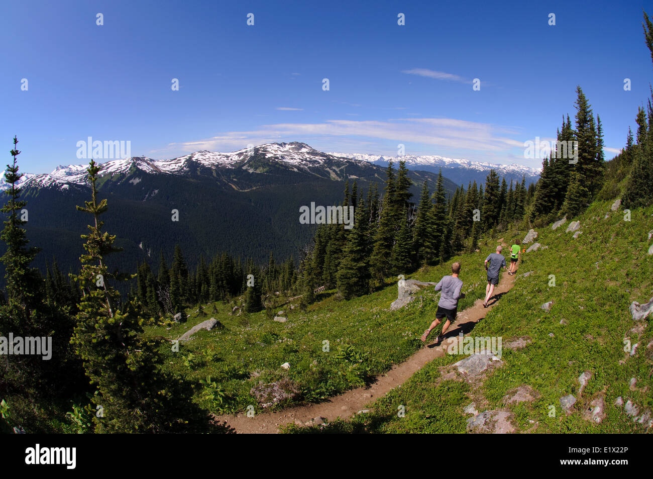 Sky runner world series hi-res stock photography and images - Alamy