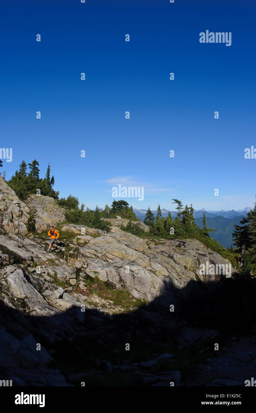 Trail running on Mount Seymour. North Shore Mountains. North Vancouver ...